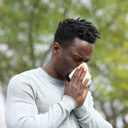 Allergies and immune system function: Are they connected? | Woman's ...